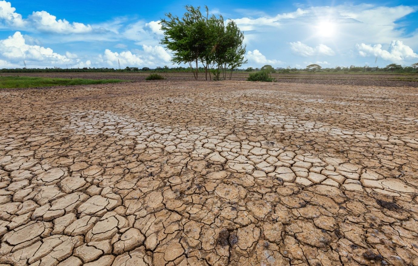 How to Survive a Drought - Go Bag Guide
